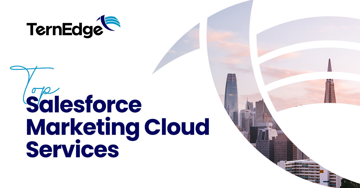 Best Salesforce Marketing Cloud Implementers - TernEdge